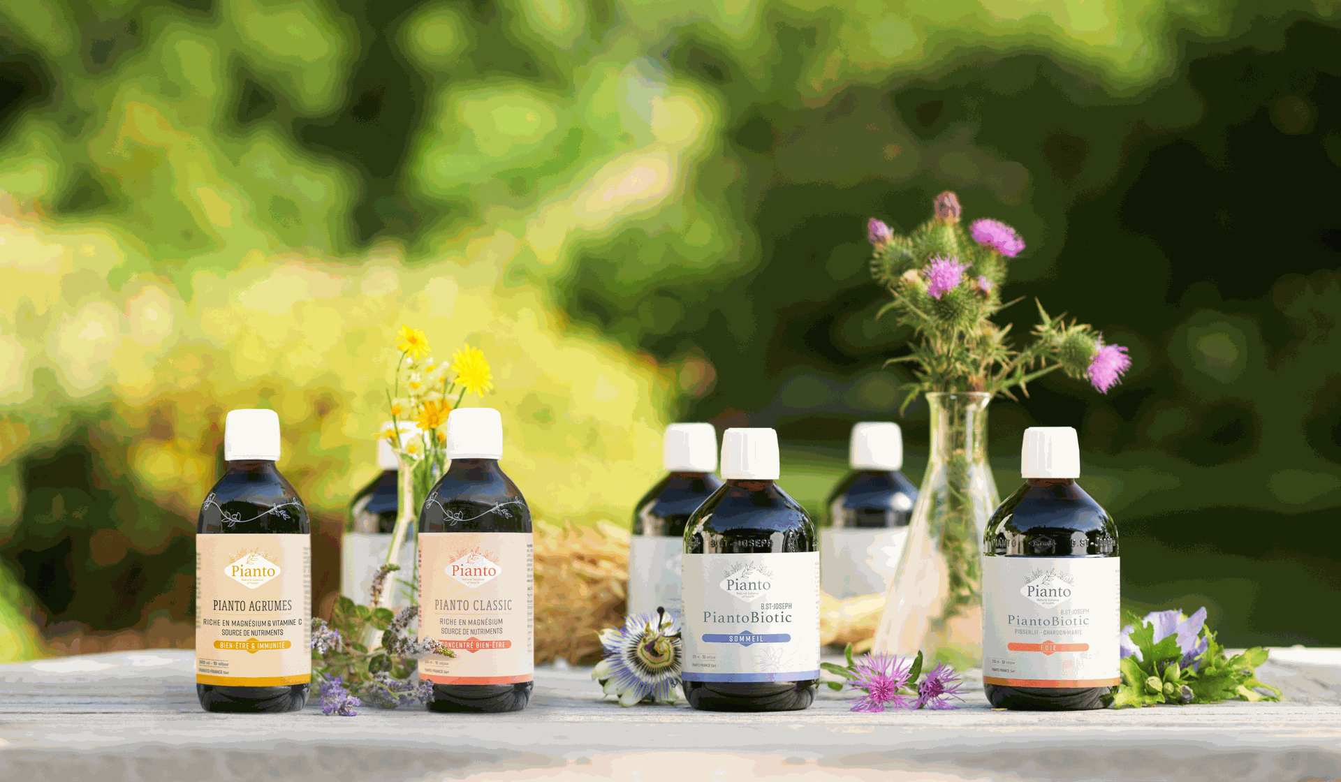 Nos gammes de Produits Pianto et PiantoBiotic